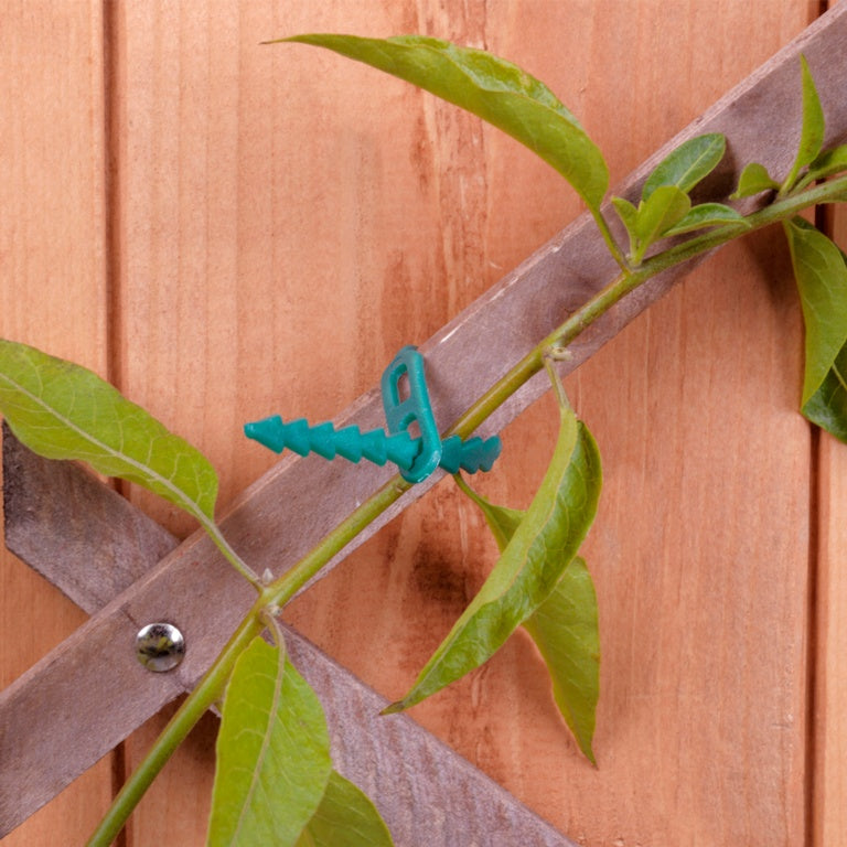 Adjustable Plant Ties – 5" (12.5cm), Pack of 50 – Plant Studio