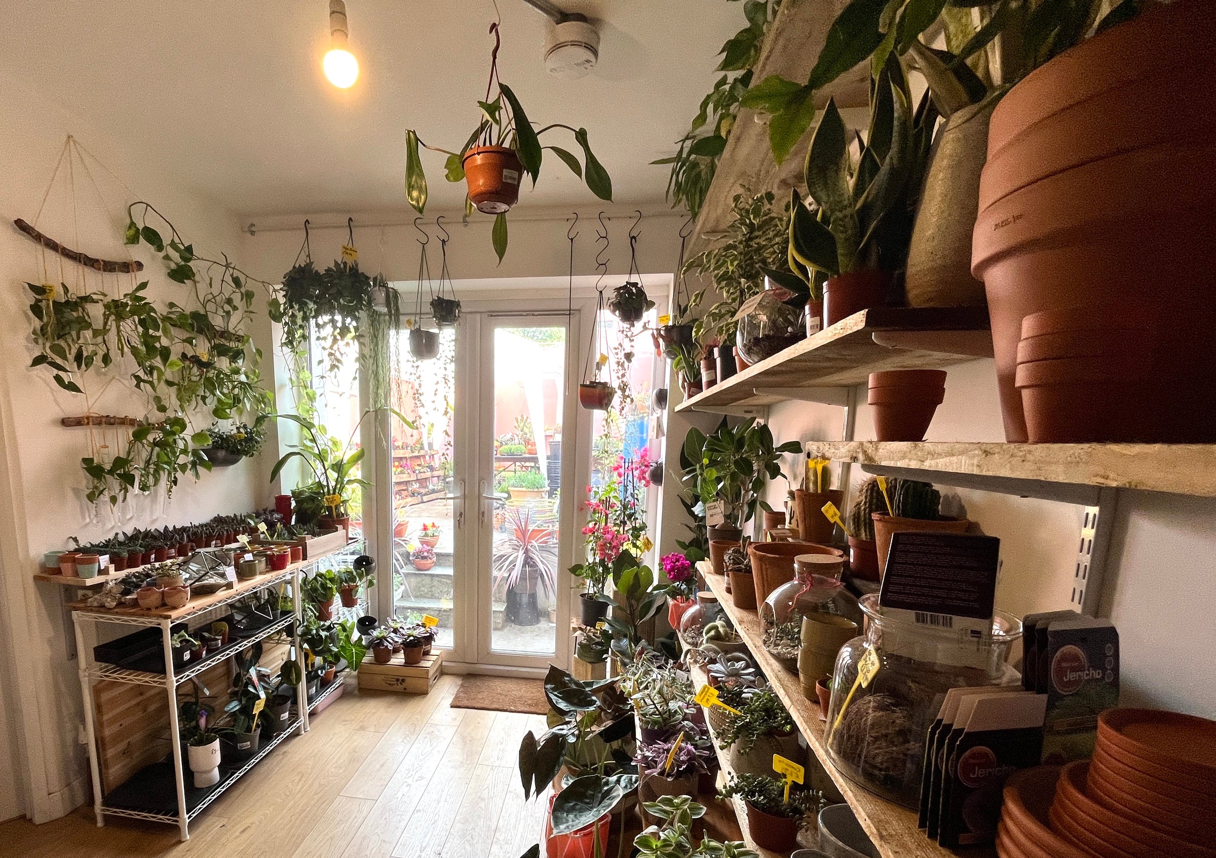 Plant Studio Bristol | Indoor & Outdoor Plants, Rare Finds & Pots