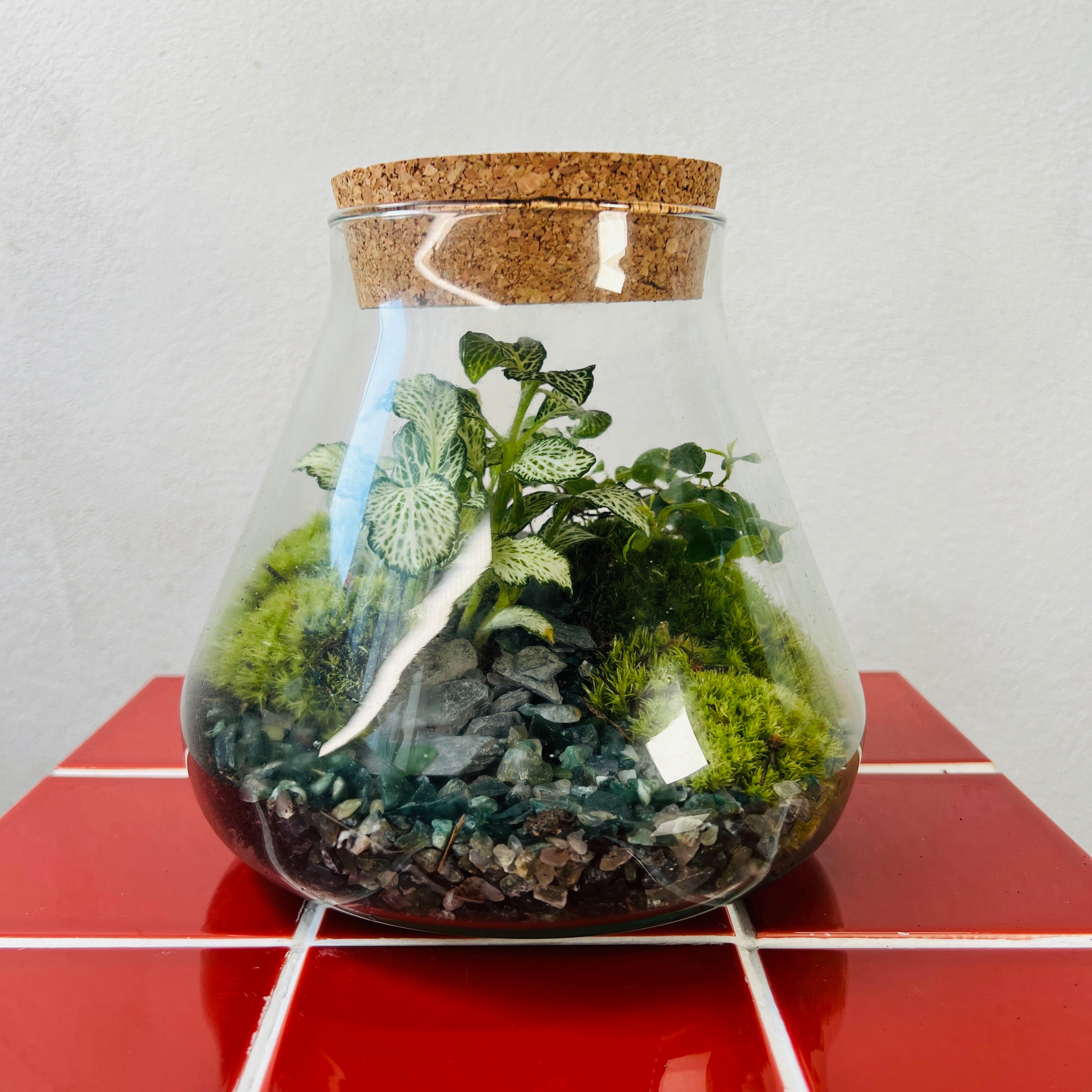 Plant.Studio ‘Highlands’ Terrarium – Miniature Landscape Glass ...