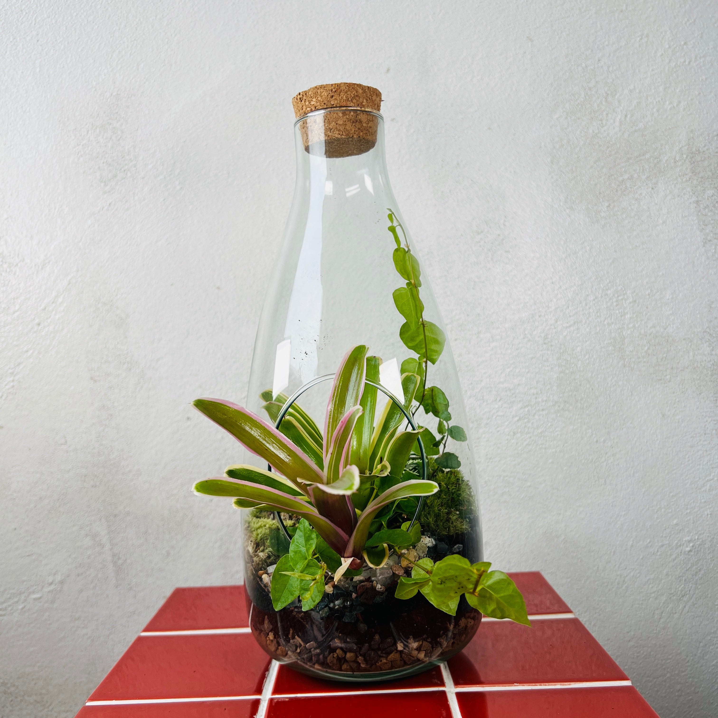 Plant.Studio ‘Burst’ Open Glass Terrarium | Handmade Easy-Care ...