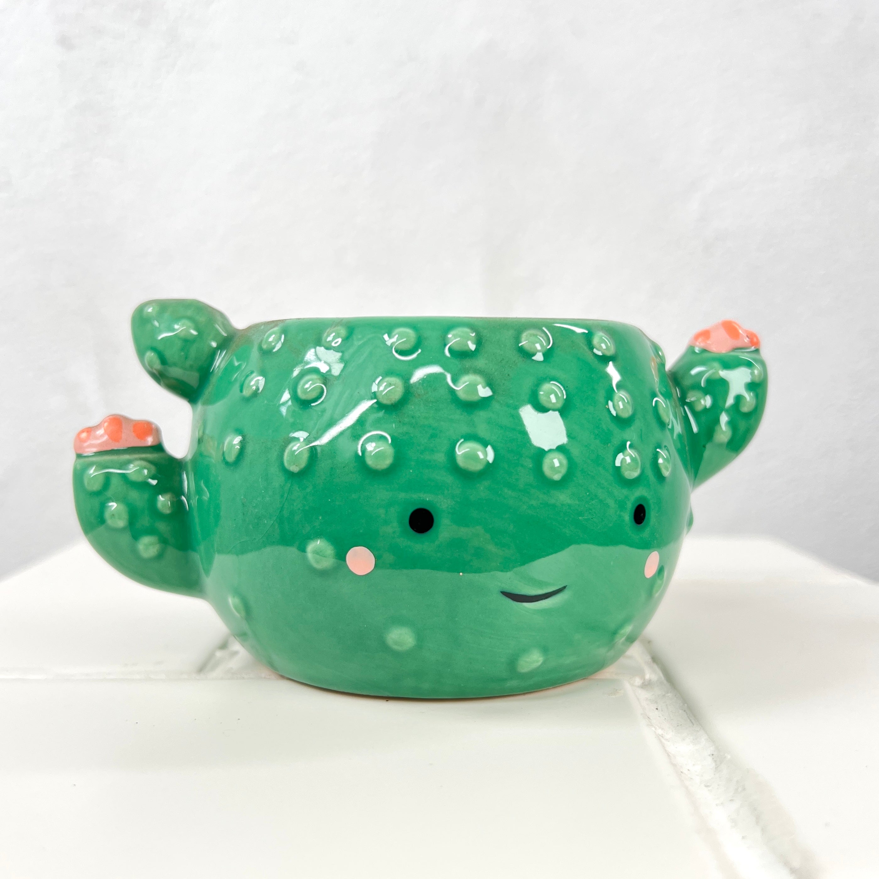 Mini Ceramic Cactus Pot – 10cm Cute Plant Planter – Plant Studio